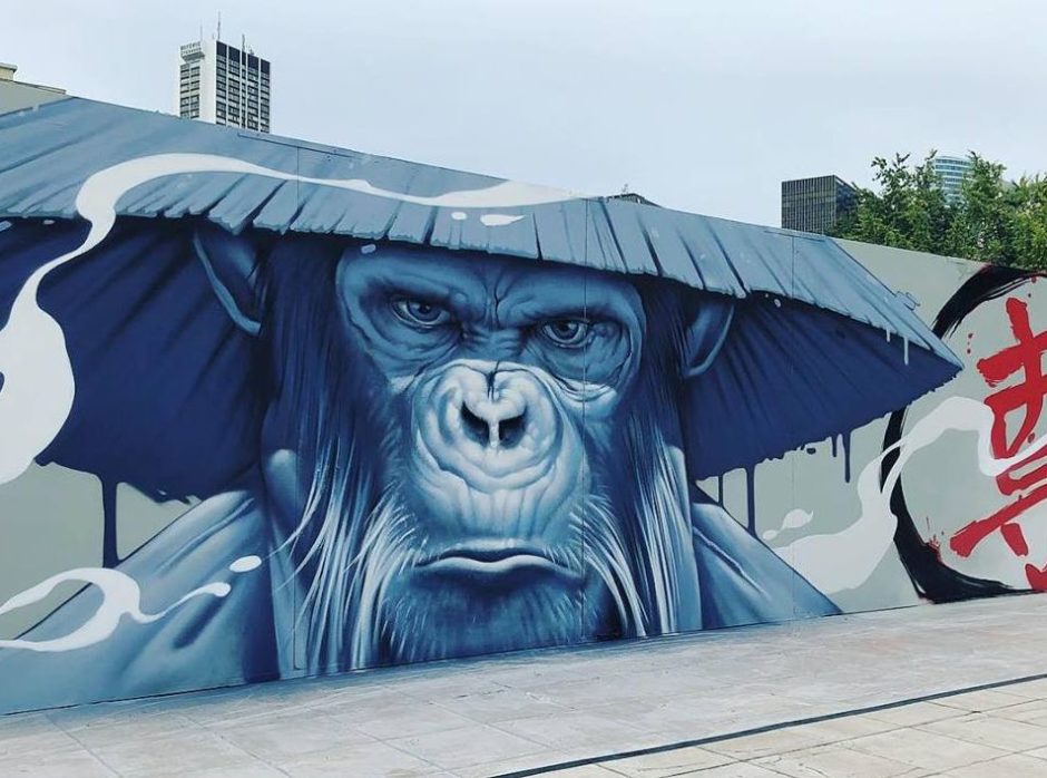 Peinture Fraîche, le festival street art lyonnais - Nouveau Lyon