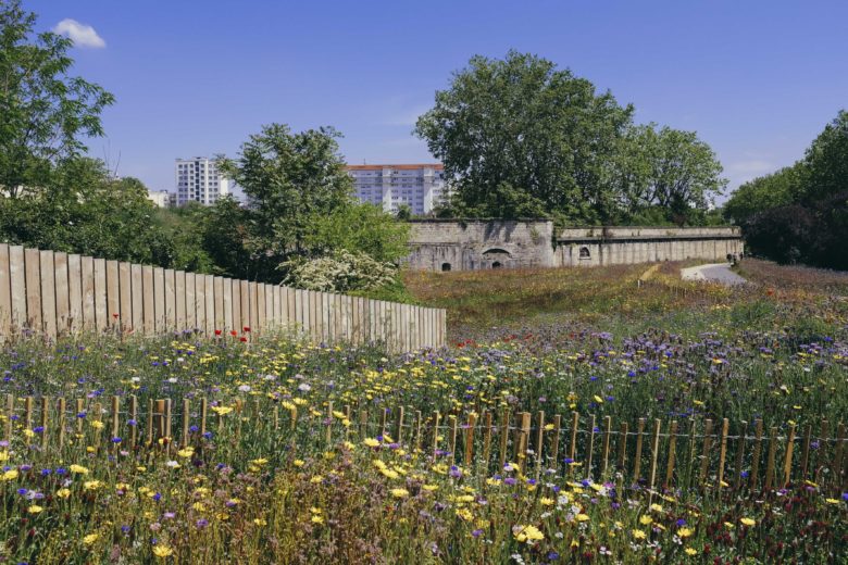 Le parc Blandan prend de la hauteur - Nouveau Lyon